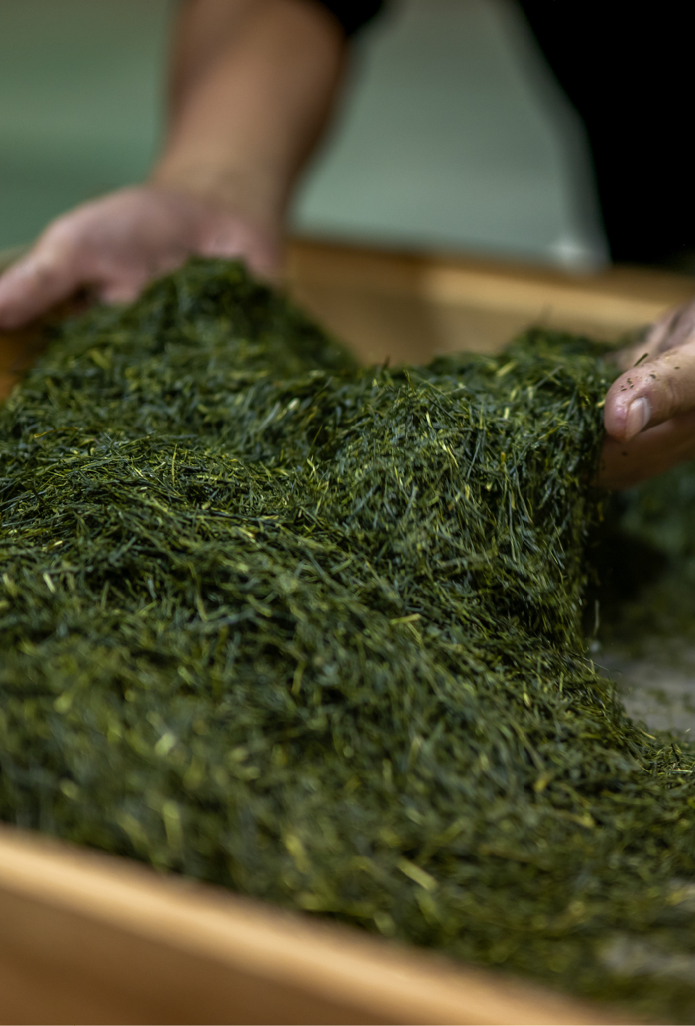 Authentic Japanese Tea, from an Emperor’s Cup-Winning Tea Master - H&G ...